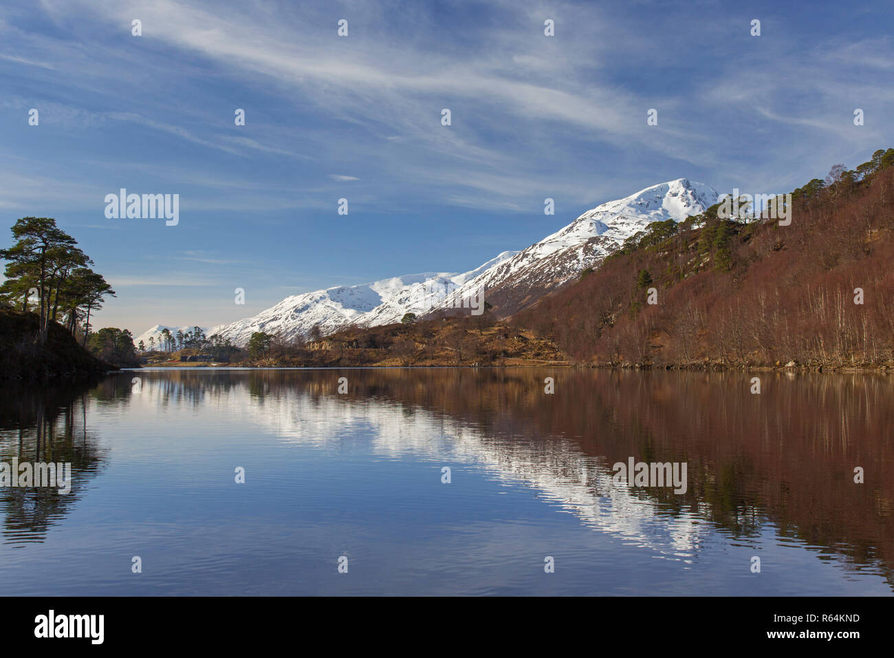 Caledonian Forest along Loch Affric and mountain Sgurr na Lapaich in ...
