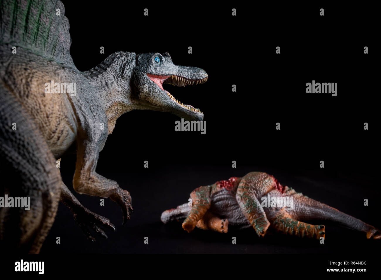 spinosaurus in front of a stegosaurus body on dark background Stock ...