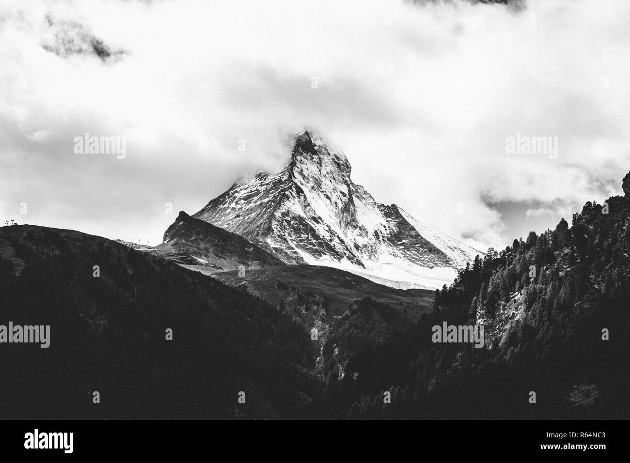 Treeline And Tree And Mountain Stock Photos & Treeline And Tree And ...