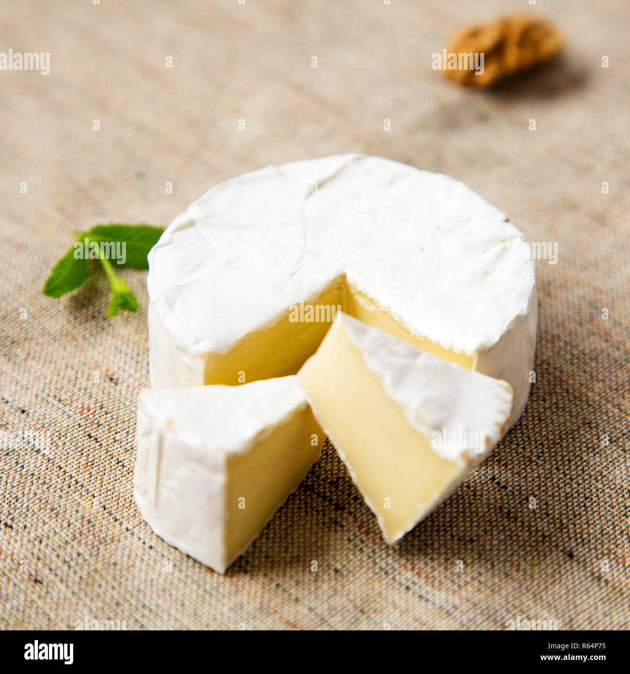 Cheese camembert with walnuts on cloth, closeup. Milk production. Side ...