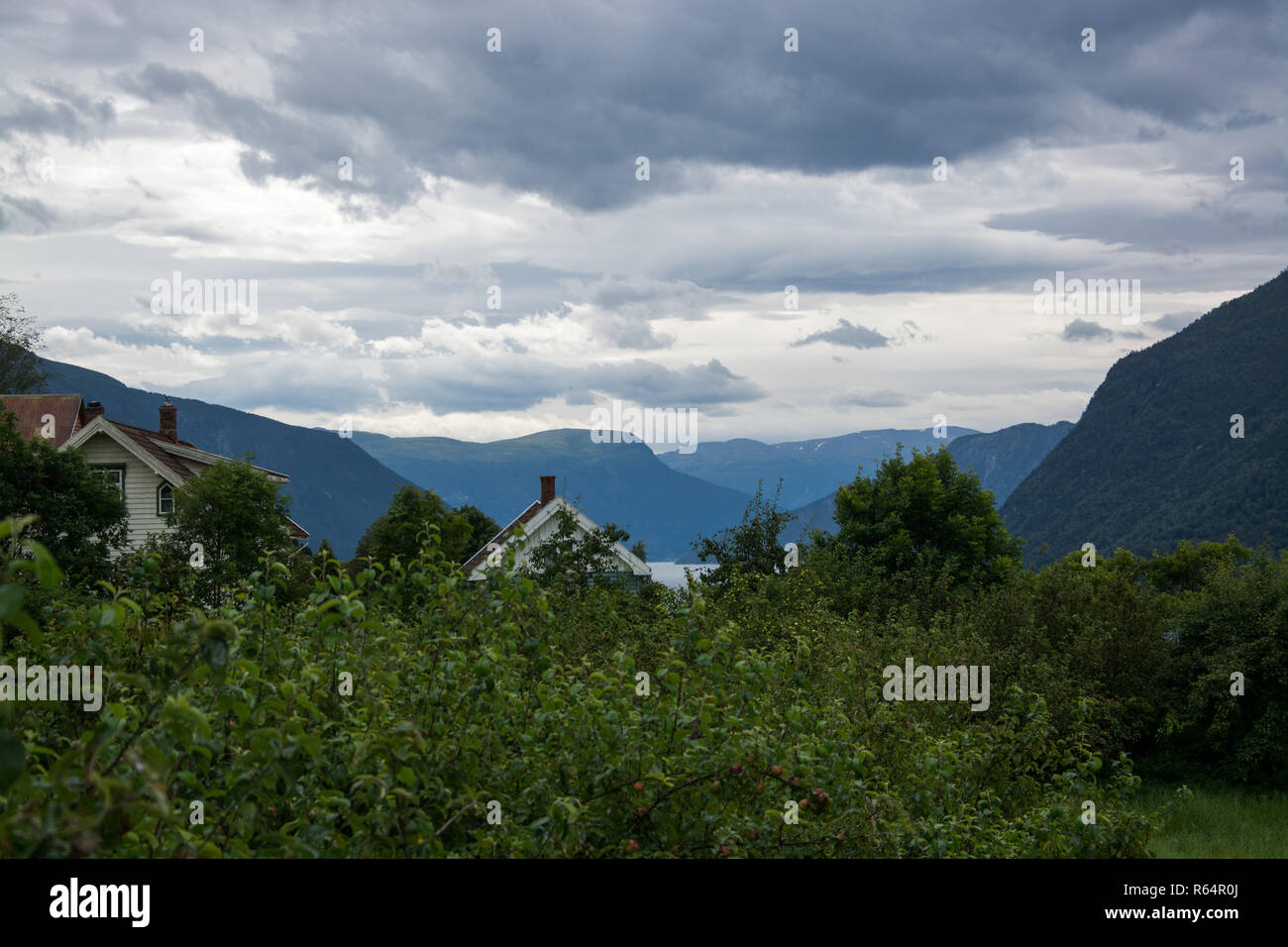 Ornes solvorn hi-res stock photography and images - Alamy