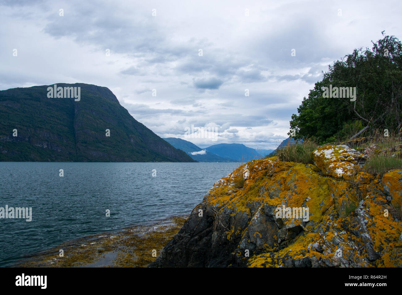 Ornes solvorn hi-res stock photography and images - Alamy
