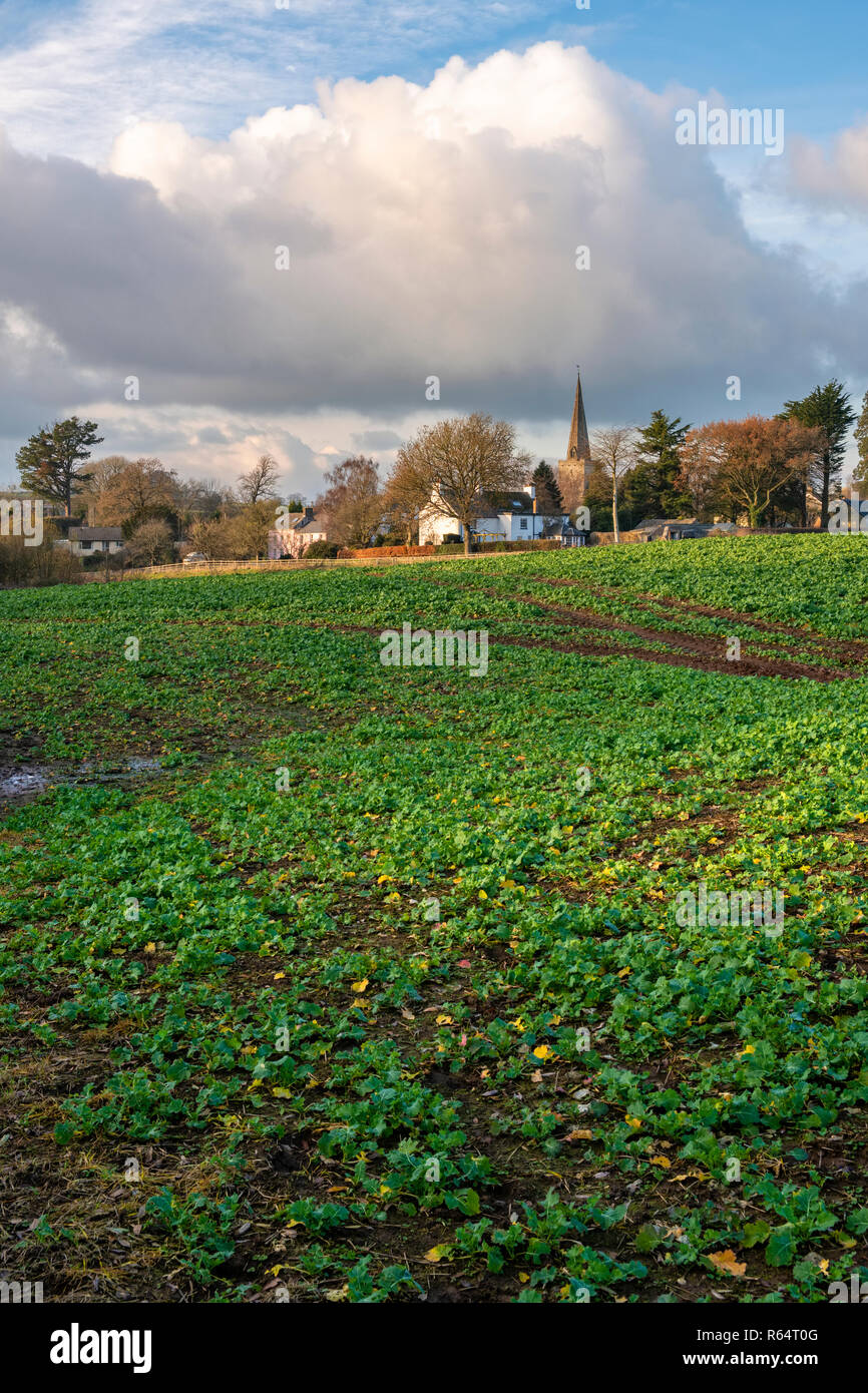 The village of Trellech in Monmouthshire, South Wales Stock Photo - Alamy