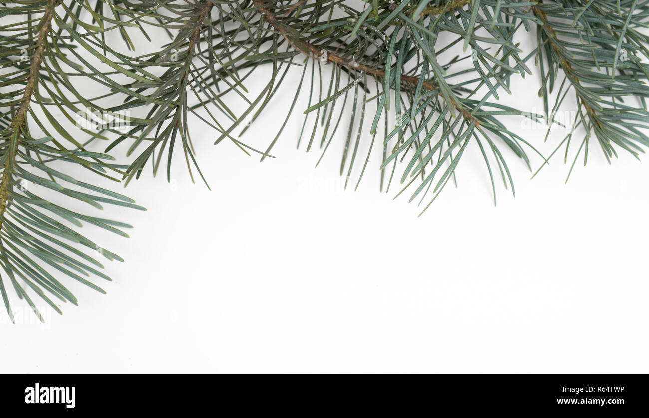 Christmas background, white cut out Stock Photo - Alamy