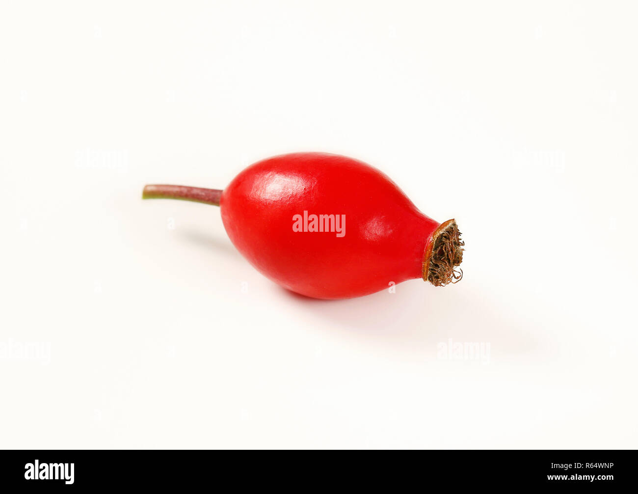 Sweet rose hip Cut Out Stock Images & Pictures - Alamy