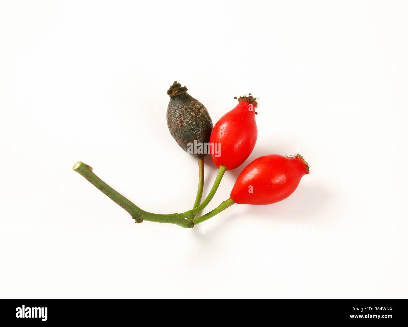 Rose hips top view Cut Out Stock Images & Pictures - Alamy