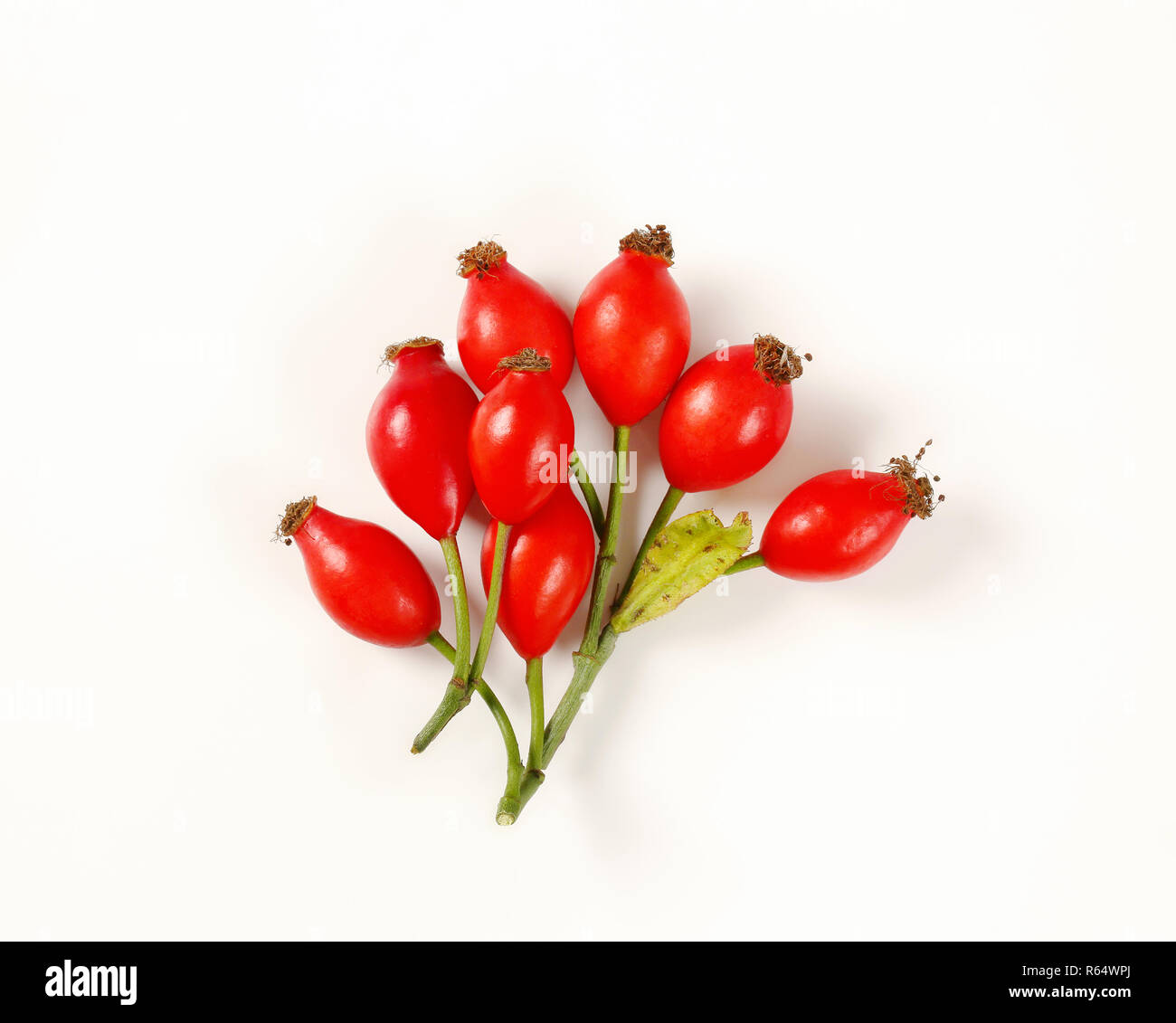 Rose hips top view Cut Out Stock Images & Pictures - Alamy