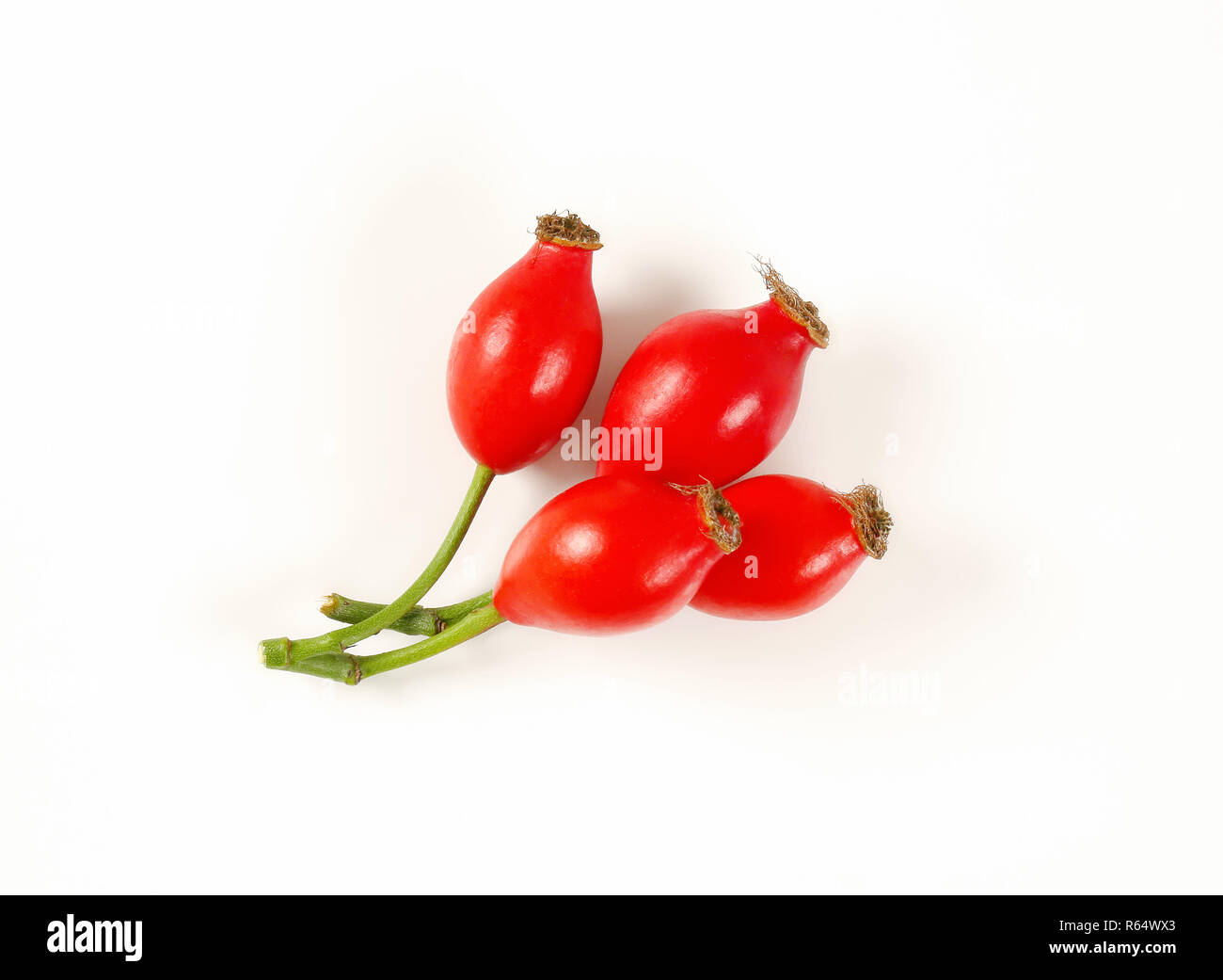 Rose hips top view Cut Out Stock Images & Pictures - Alamy