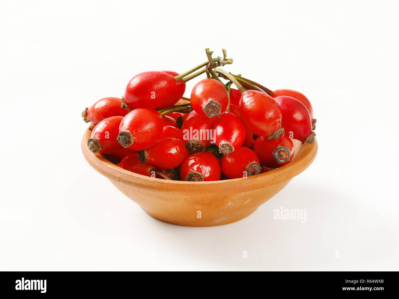 Full of rose hips hi-res stock photography and images - Alamy