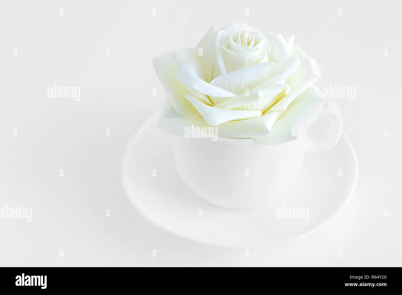 White rose bud in a white cup. Tea pair. White background Stock Photo ...