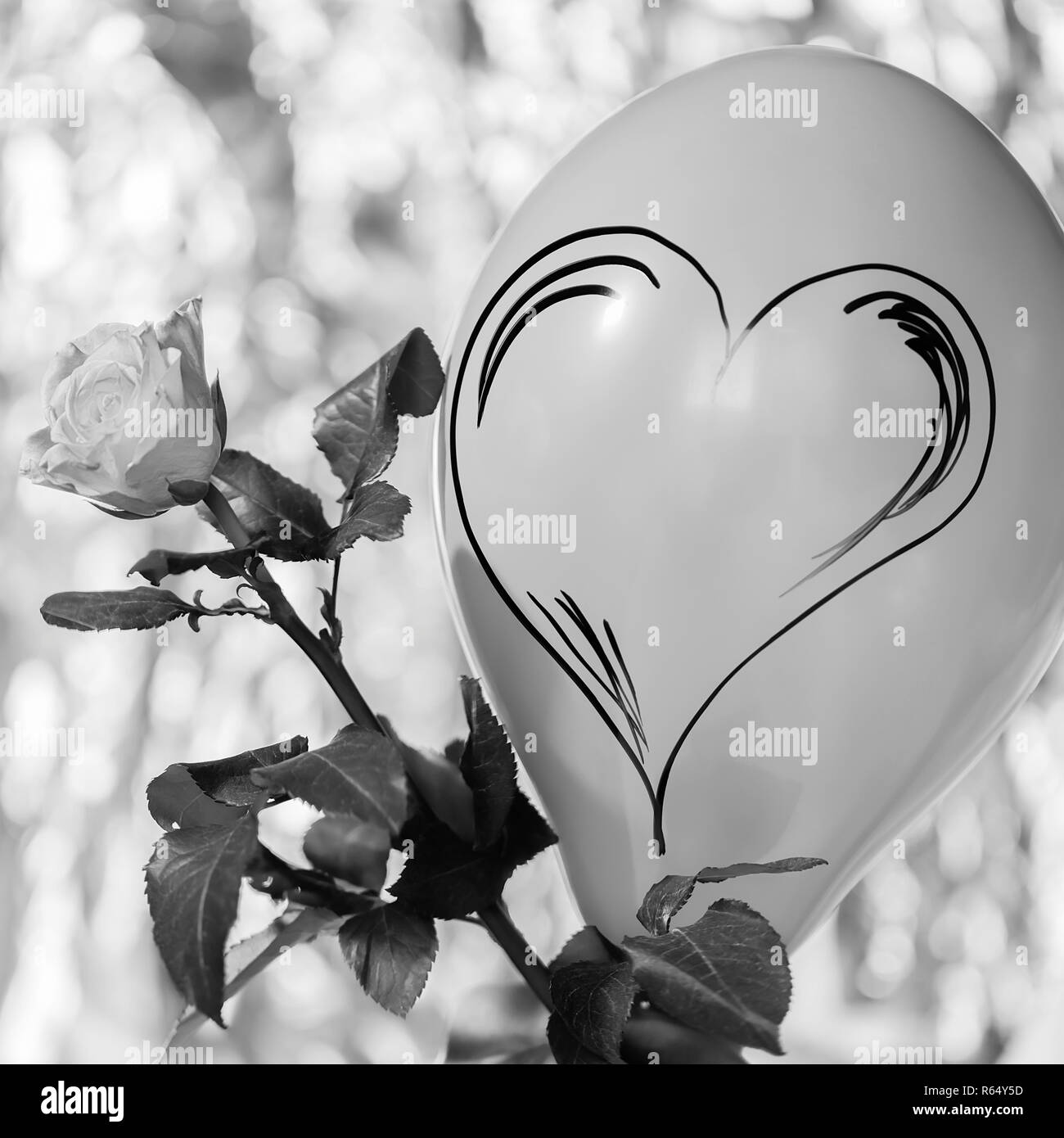 Herz mit rose hi-res stock photography and images - Alamy