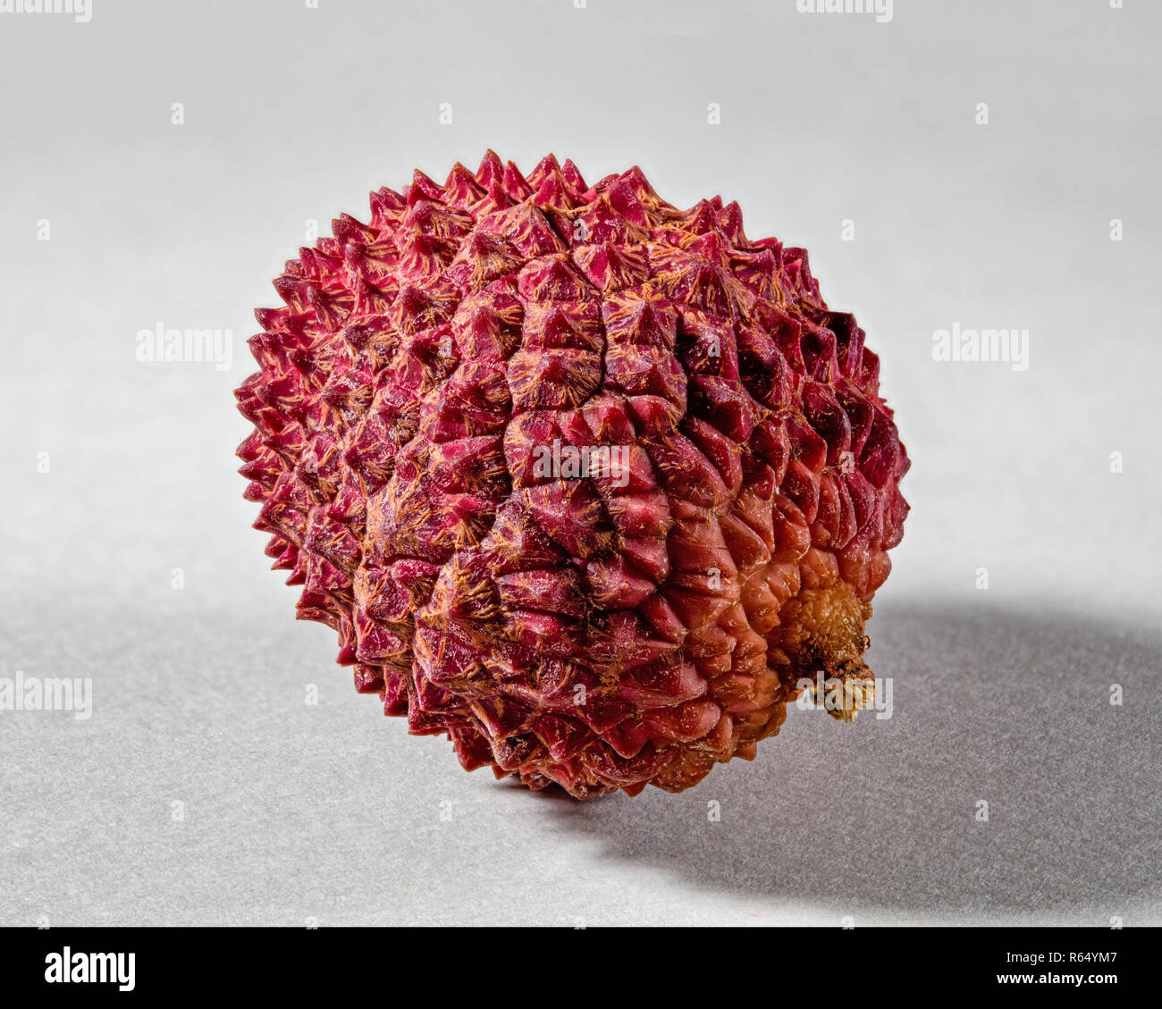Closeup of ripe exotic lychee fruit on gray background with copy space ...