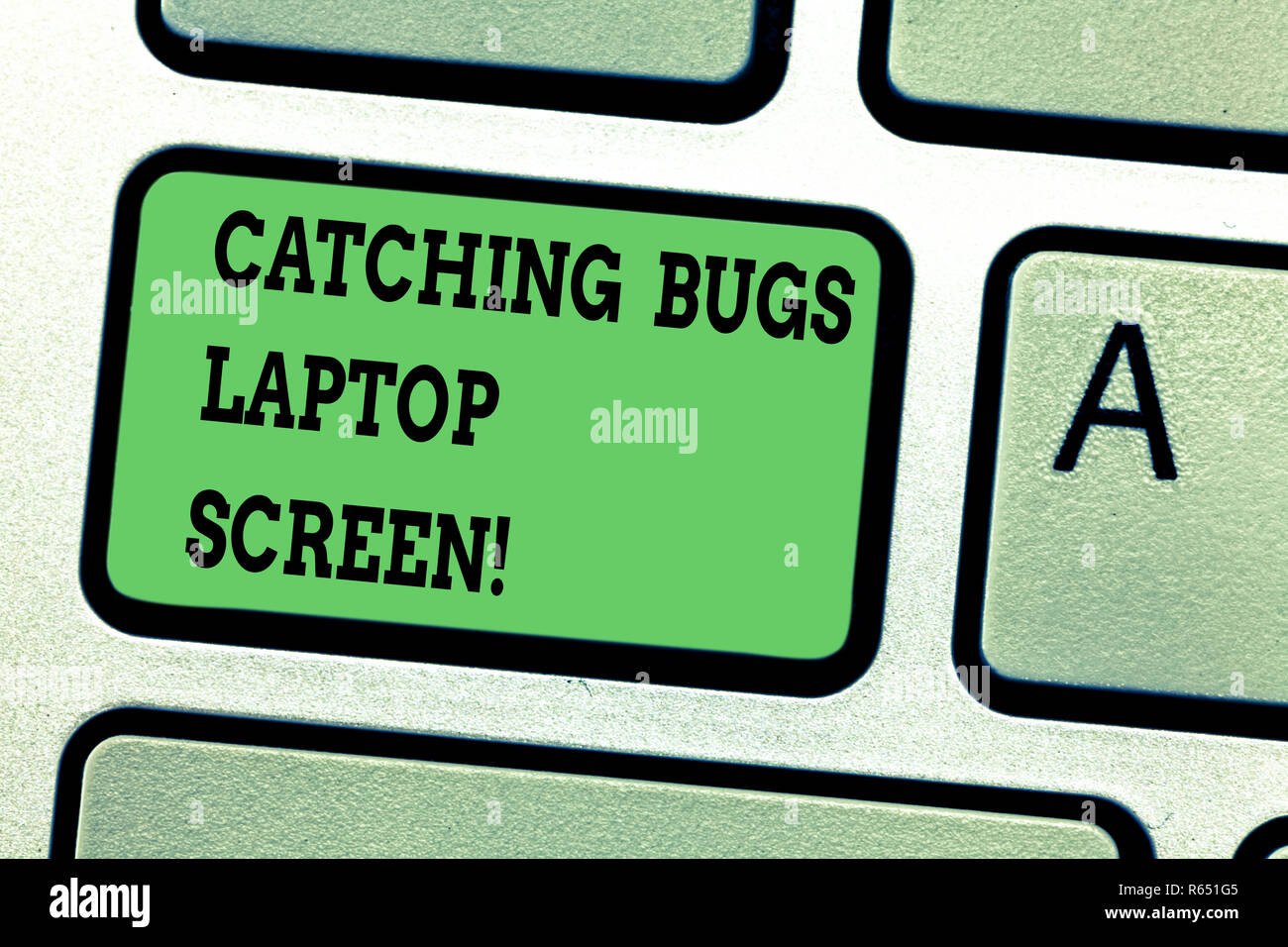 Text sign showing Catching Bugs Laptop Screen. Conceptual photo ...