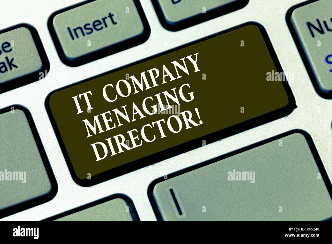 Handwriting text It Company Managing Director. Concept meaning ...