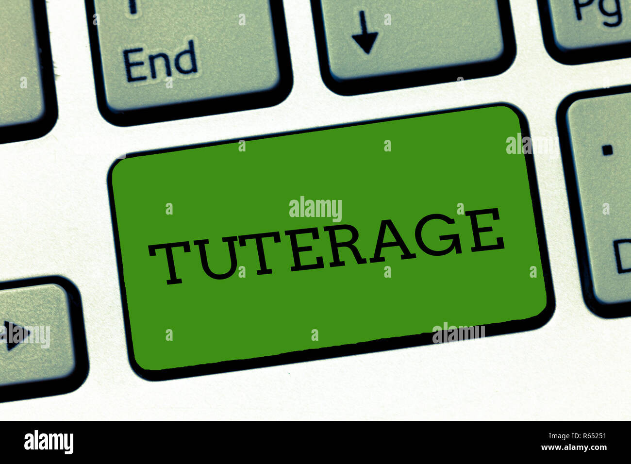 Conceptual hand writing showing Tuterage. Business photo showcasing ...