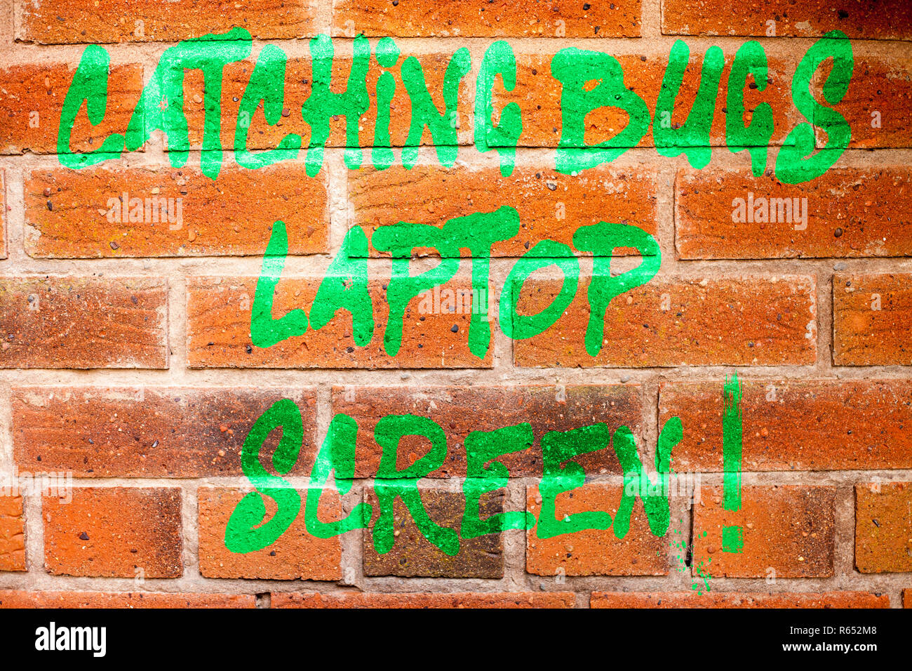 Hardware bugs hi-res stock photography and images - Alamy