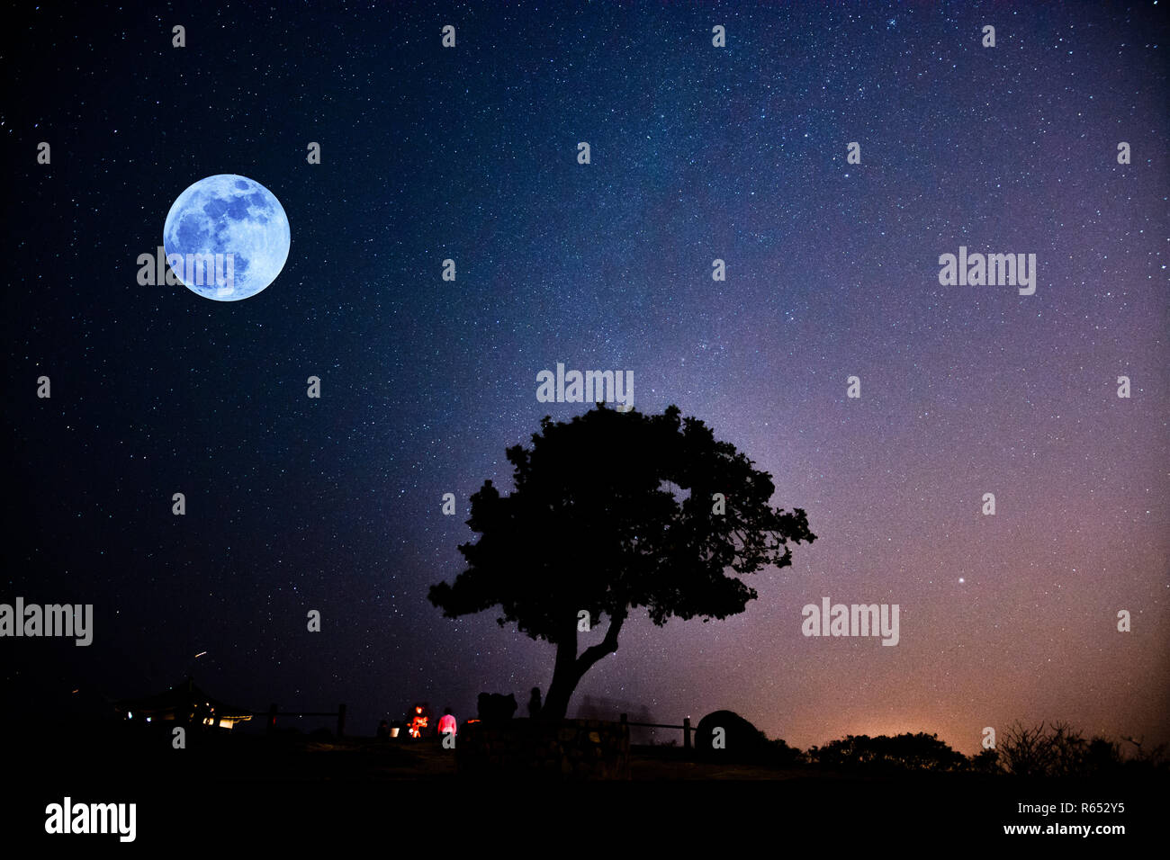 Moon over tree hi-res stock photography and images - Alamy