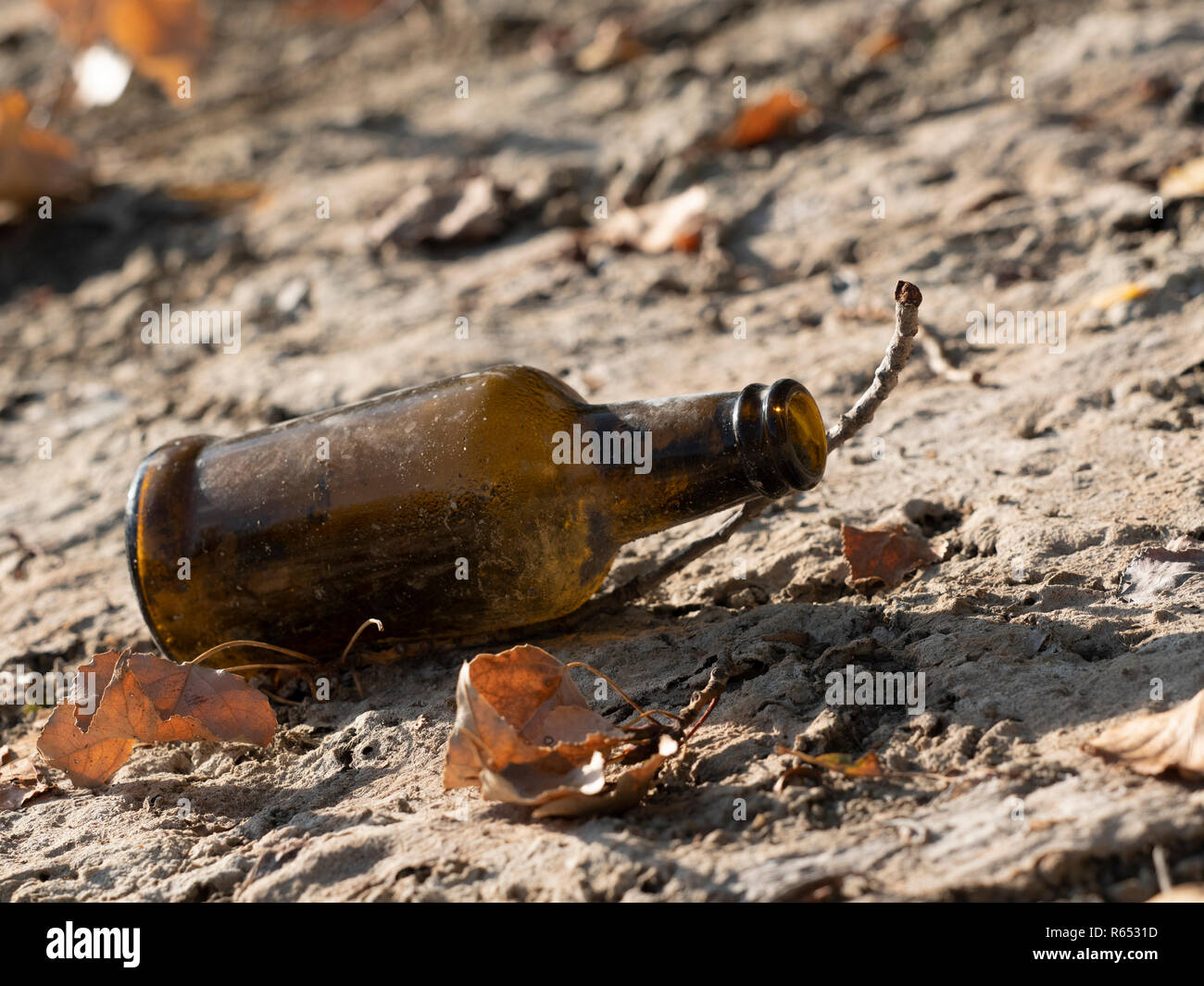 Discarded glass beer bottle hi-res stock photography and images - Alamy