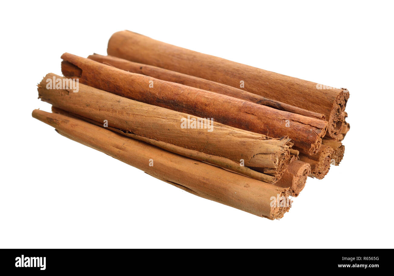 Bark from Cinnamomum verum or true cinnamon or Ceylon cinnamon ...