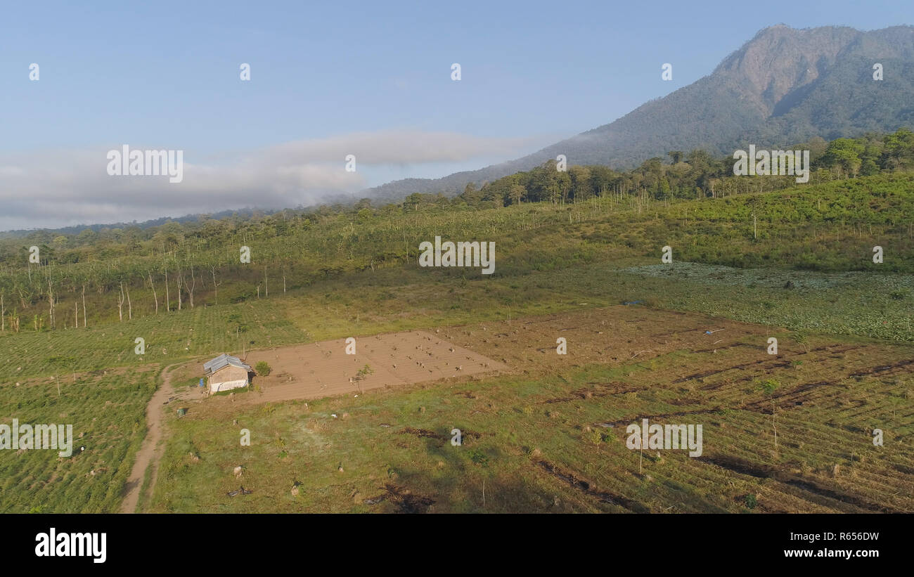 tropical landscape mountains with farmlands, fields with crops, trees ...
