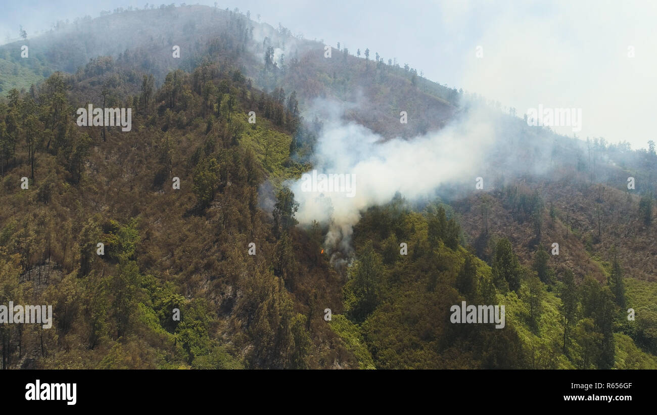 aerial view forest fire smoke on the slopes hills. fire in mountain ...