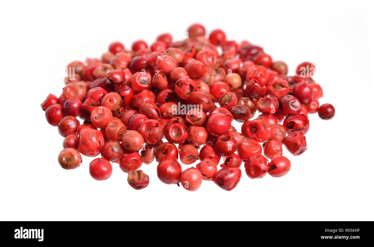 Brazilian pepper tree schinus terebinthifolius with berries Cut Out ...