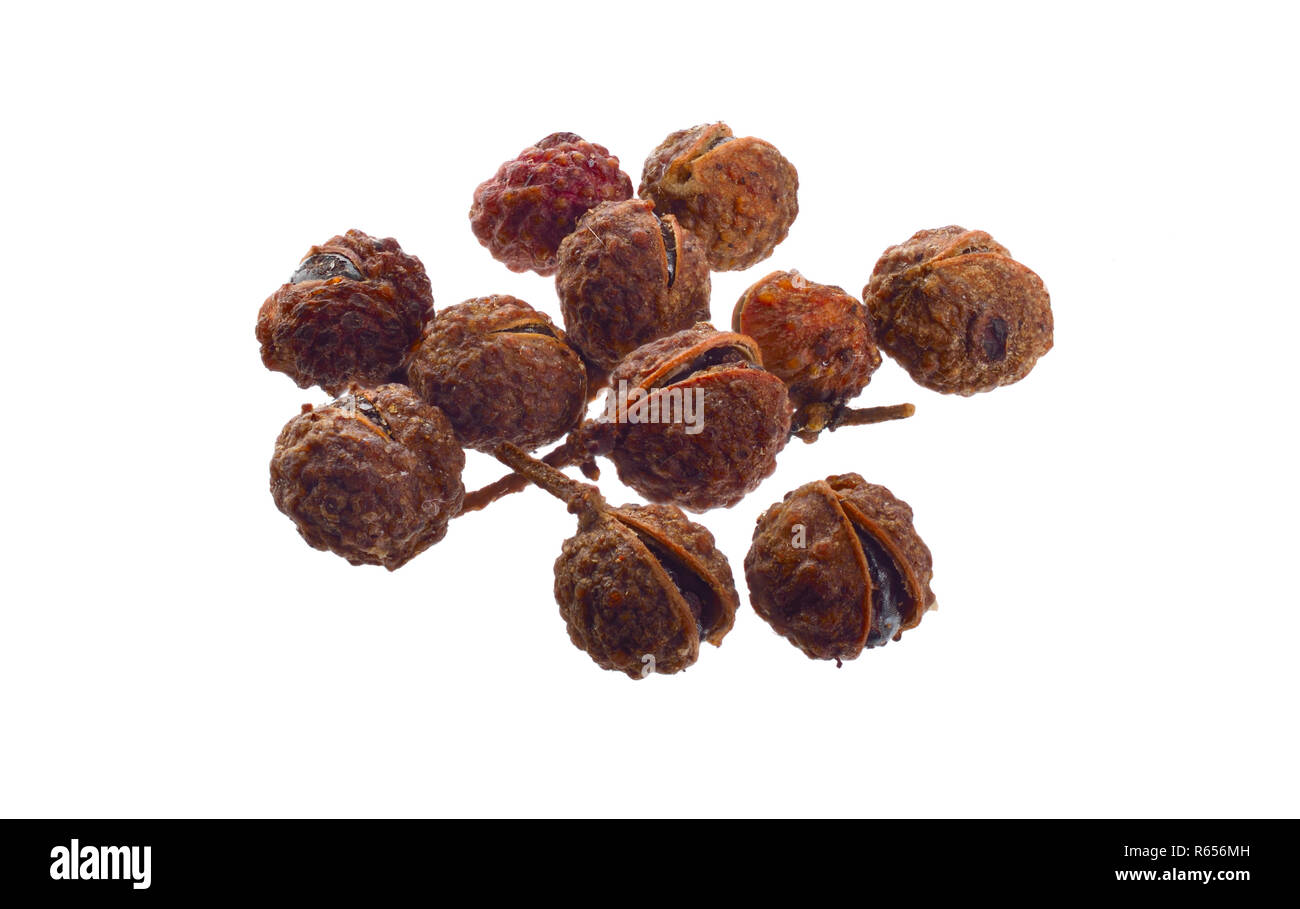 Sichuan pepper, Sichuan peppercorn, Szechuan pepper or Szechuan ...