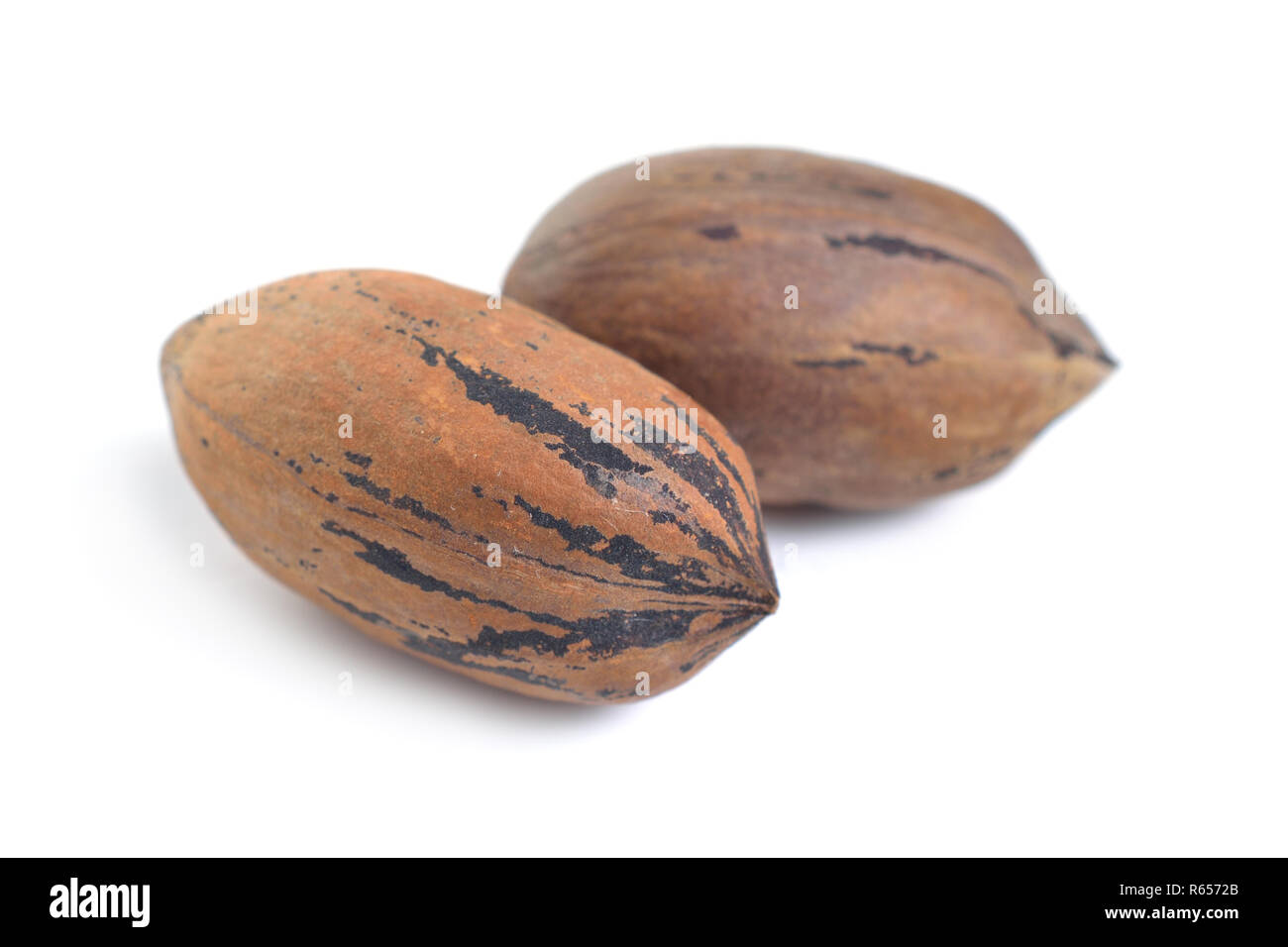 UnShelled pecan nuts isolated on white background Stock Photo - Alamy