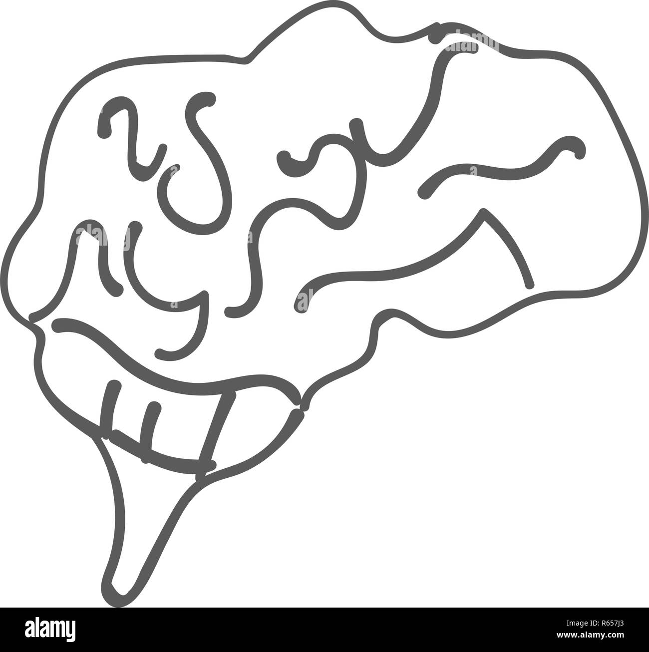 Children s drawing of human brain. Doodle, icon Stock Vector Image ...