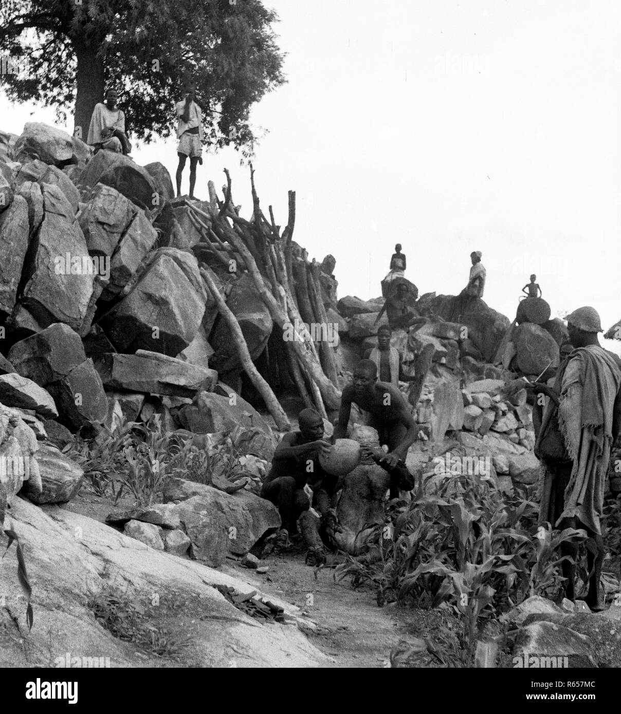 Native Tribes People performing a tribal ritual Cameroon Africa 1950's ...