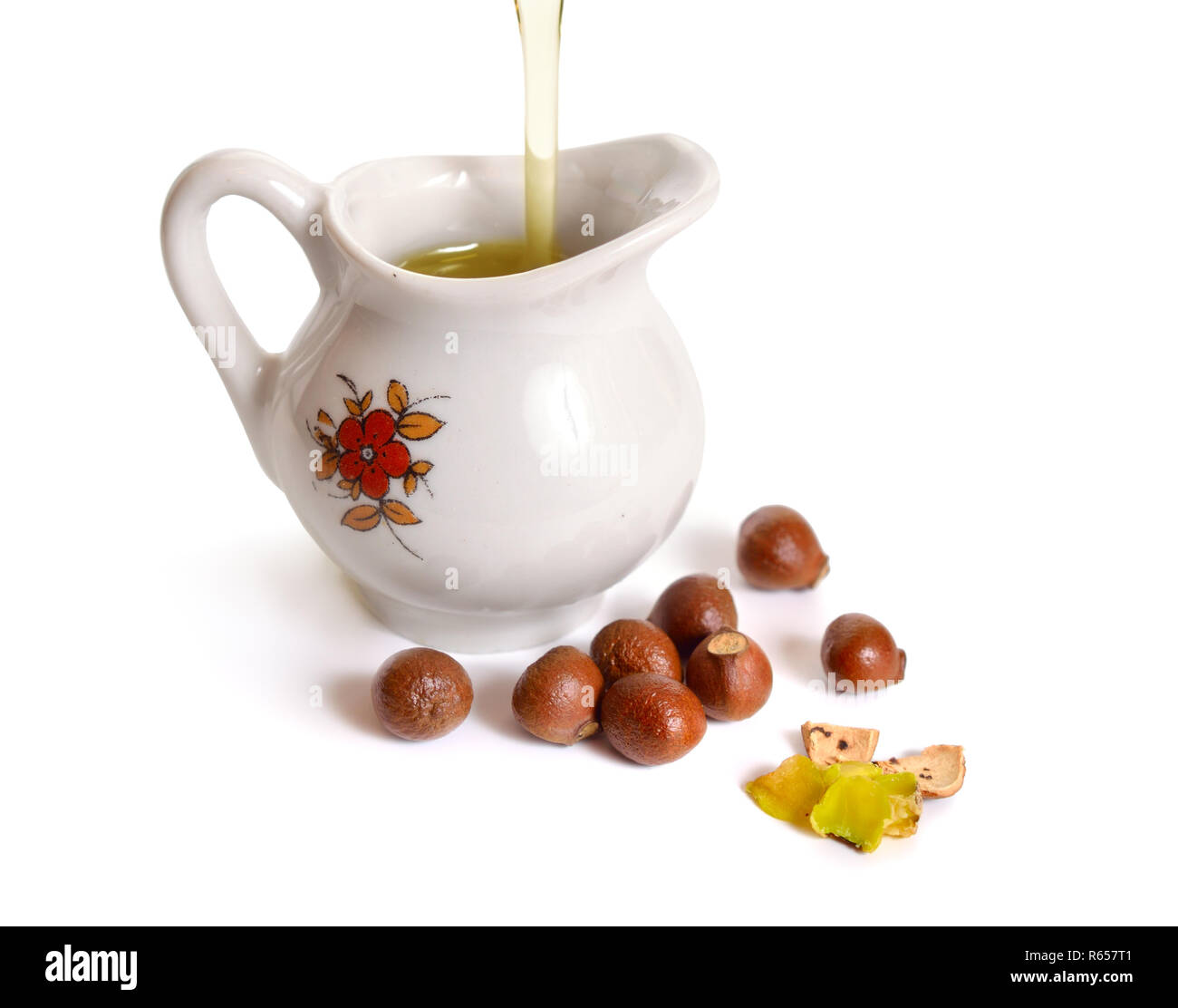 Bladdernut staphylea pinnata Cut Out Stock Images & Pictures - Alamy