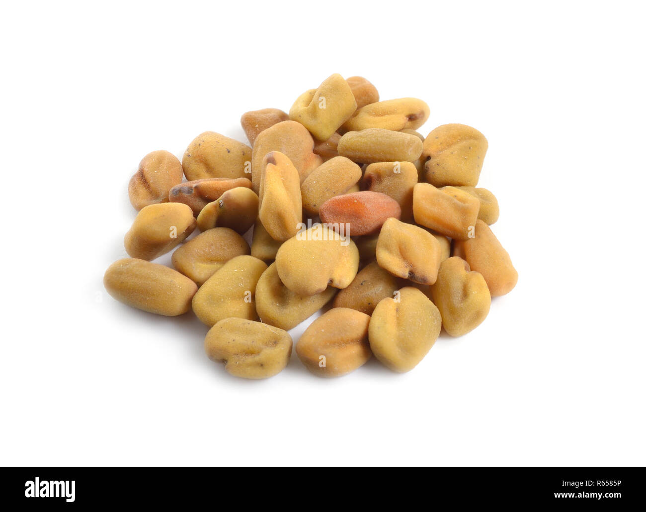 Fenugreek seed with sprout. Trigonella foenum-graecum isolated Stock ...