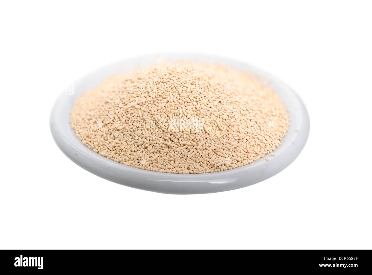 Dry Yeast Powder
