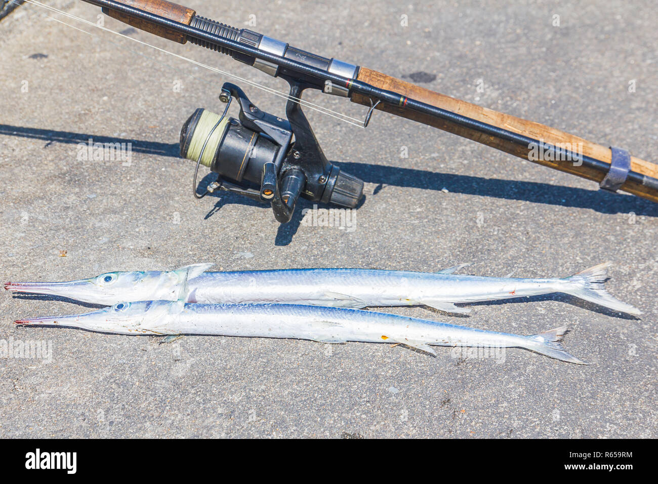 Old fishing rod Stock Photo - Alamy