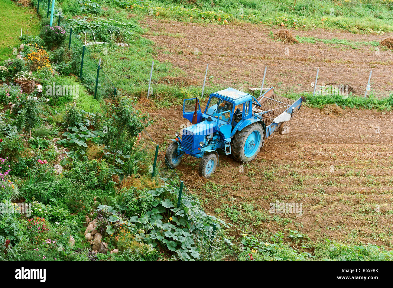 Potato harvesting machine hi-res stock photography and images - Alamy