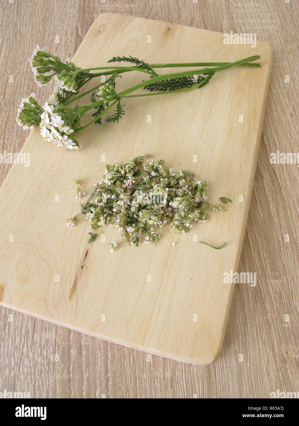 fresh and dried yarrow Stock Photo - Alamy