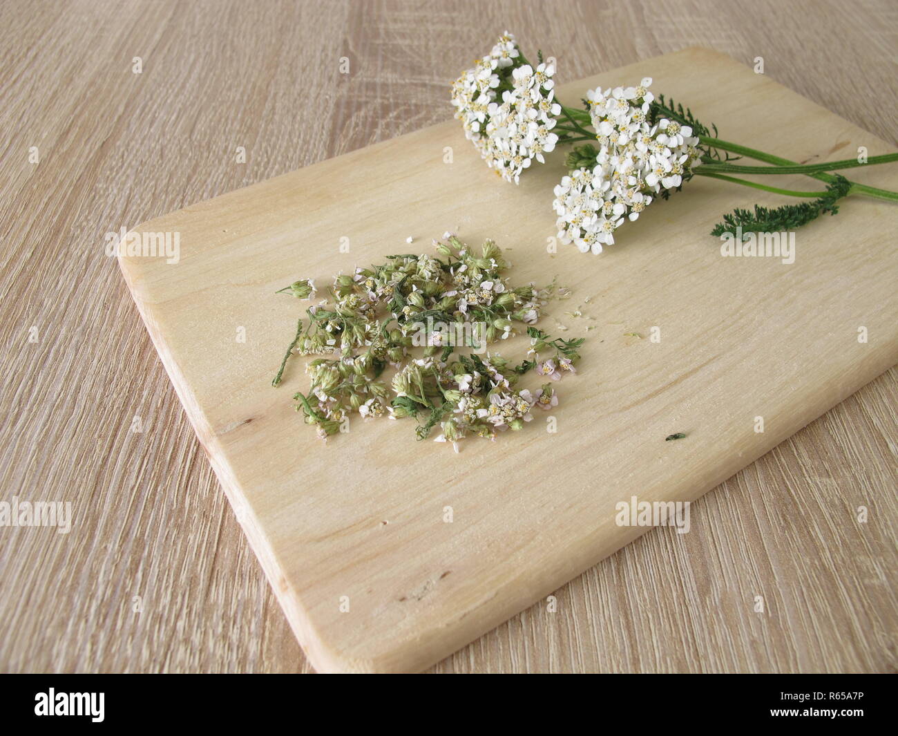 Dried yarrow hi-res stock photography and images - Alamy