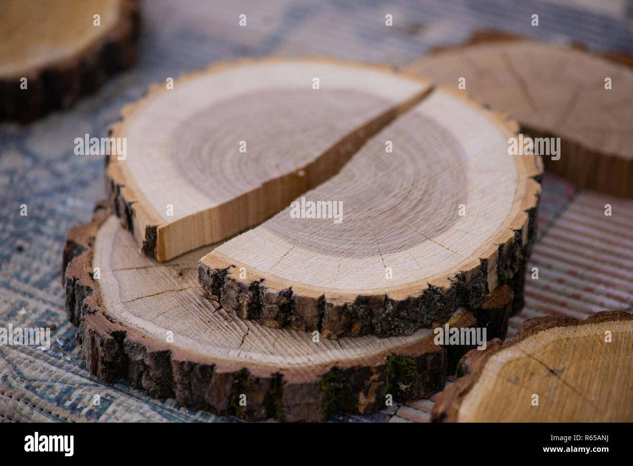 Ashen tree cross section at the workshop Stock Photo - Alamy