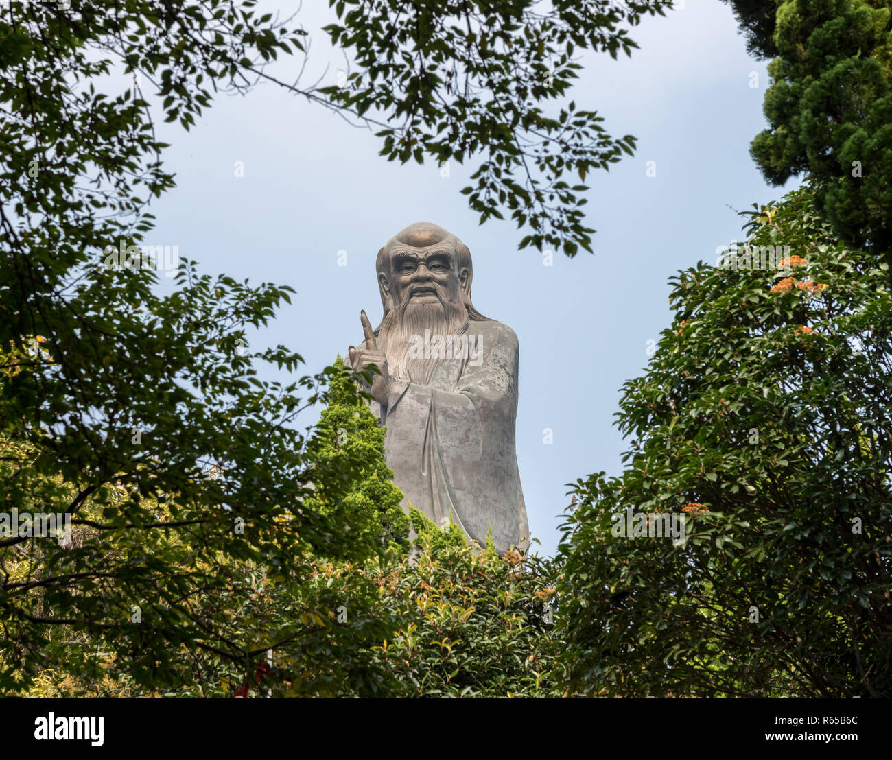 Sacred Trees On The Grounds Of Taiqing Gong Temple