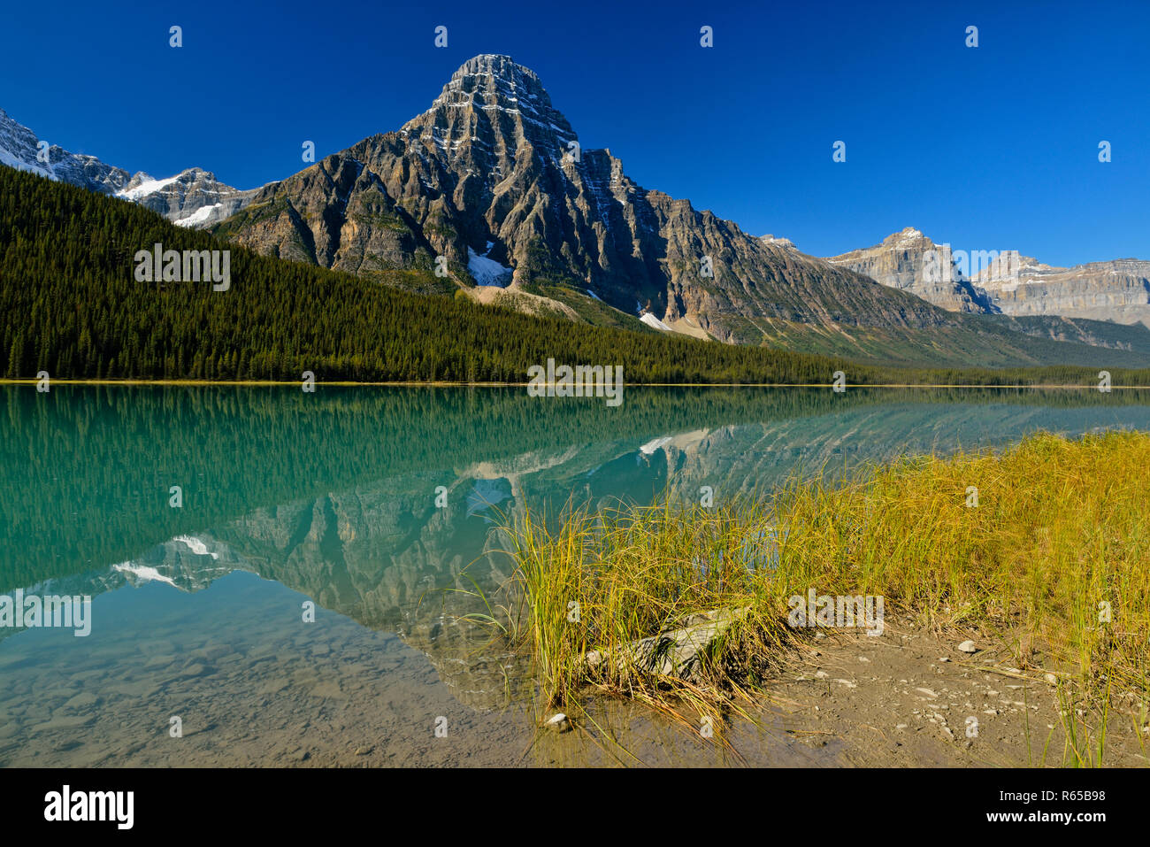 Mt. Chephren reflections in Waterfowl Lake, Banff National Park ...