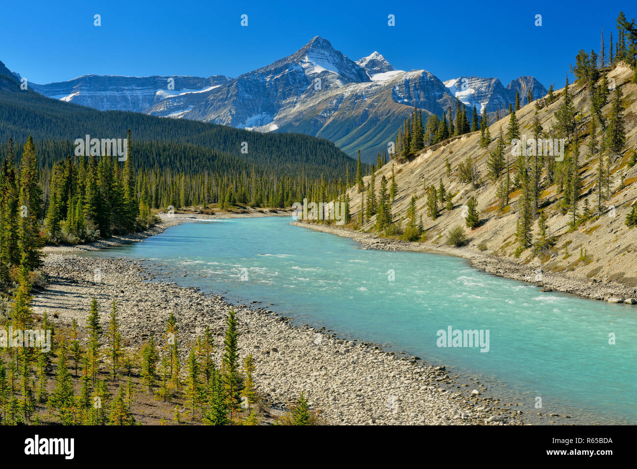 Saskatchewan River, Banff National Park, Alberta, Canada Stock Photo ...