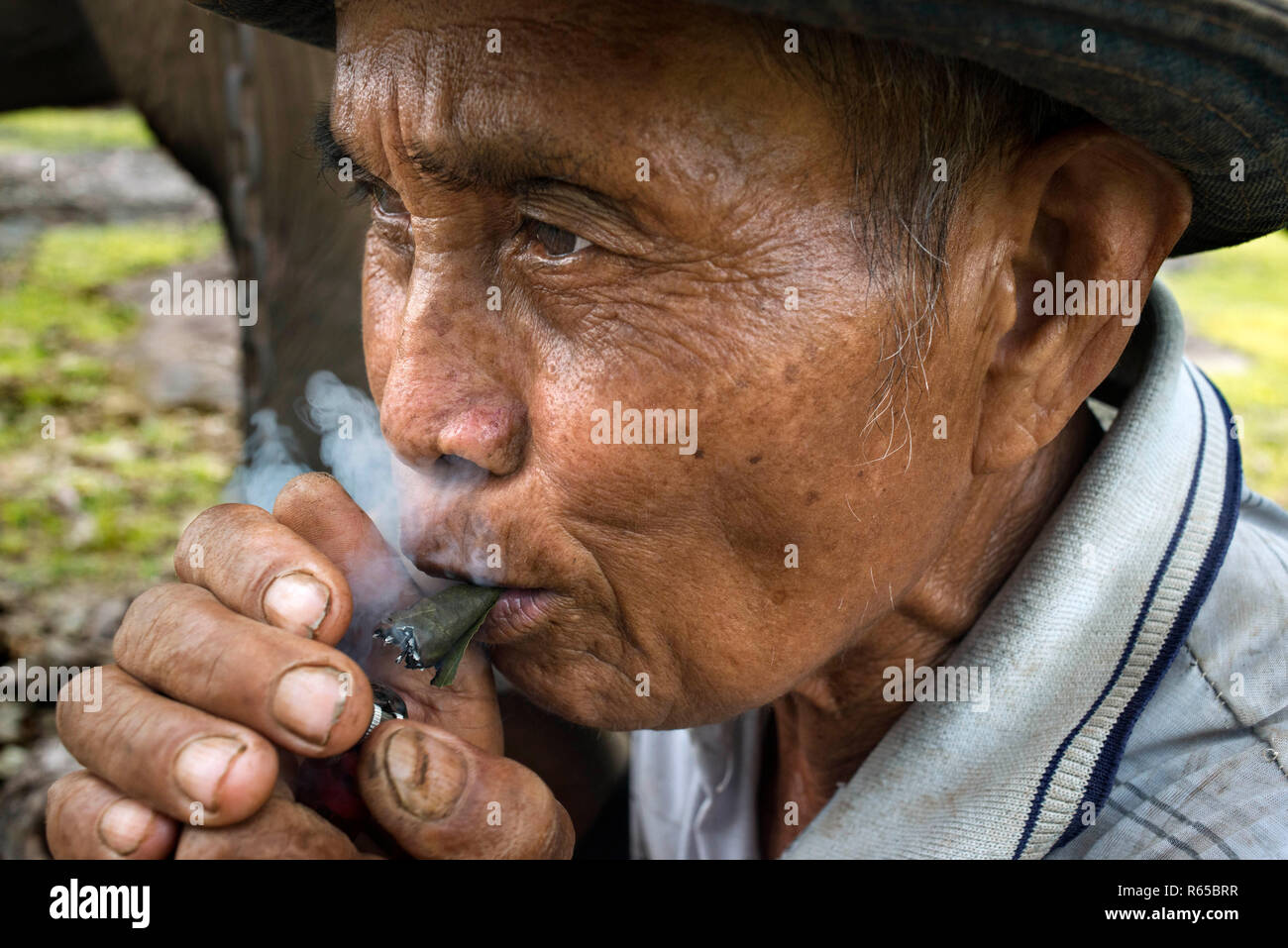 Elephant trainer hi-res stock photography and images - Alamy