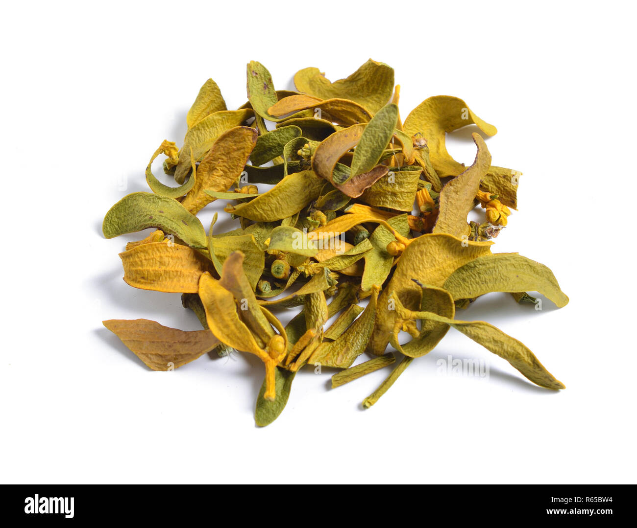 Dried medicinal herbs raw materials isolated on white. Viscum album ...