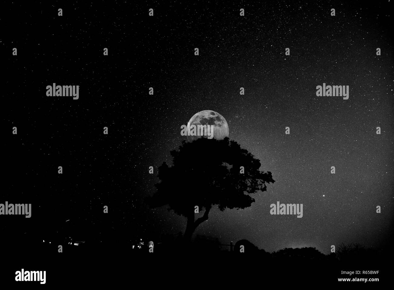 1 moon landing hi-res stock photography and images - Alamy