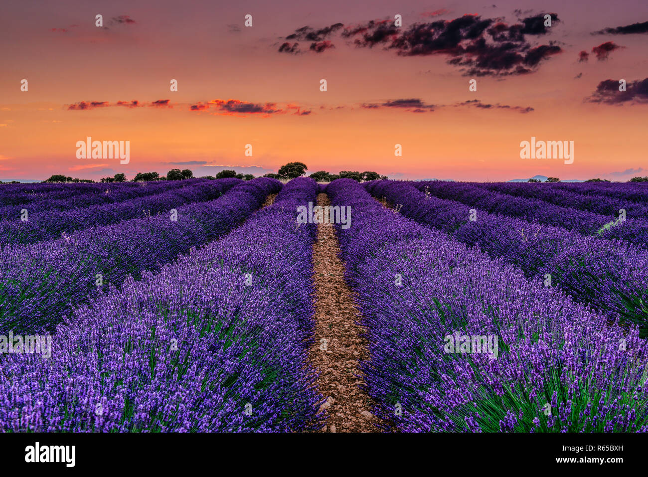 Brihuega spain hi-res stock photography and images - Alamy