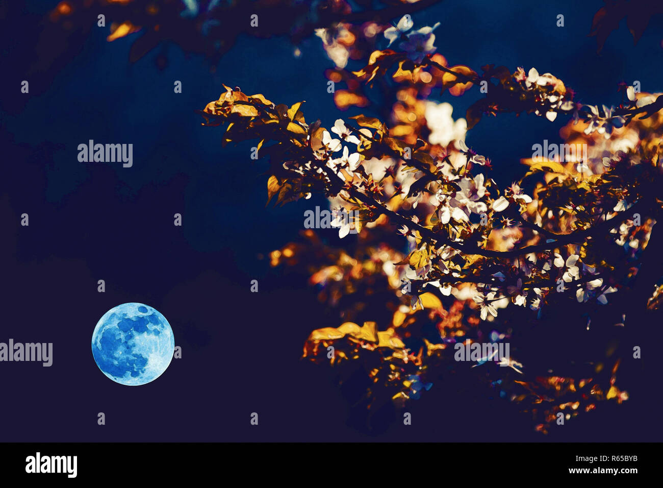 Moonlit scenery hi-res stock photography and images - Alamy