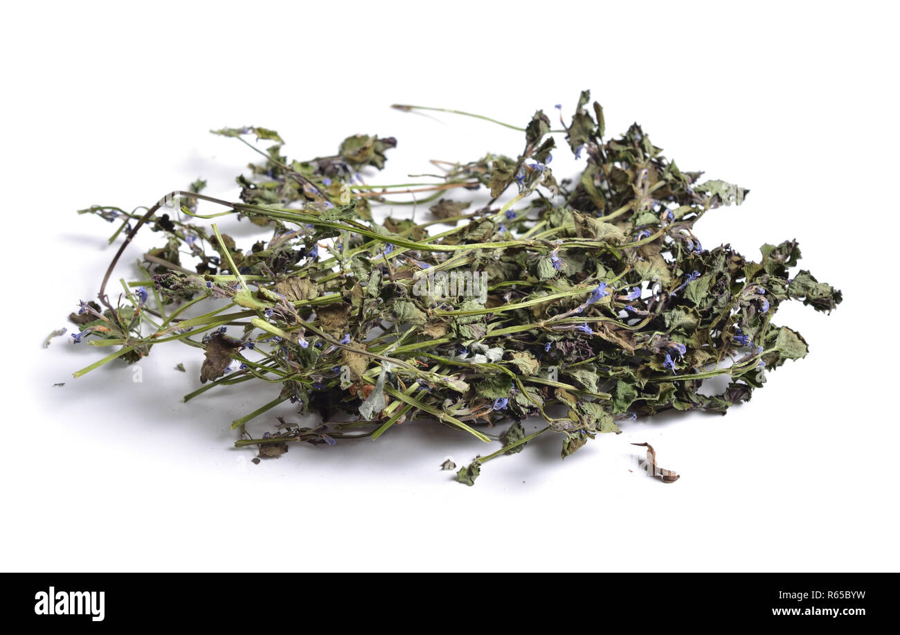 Dried medicinal herbs raw materials isolated on white. Glechoma ...