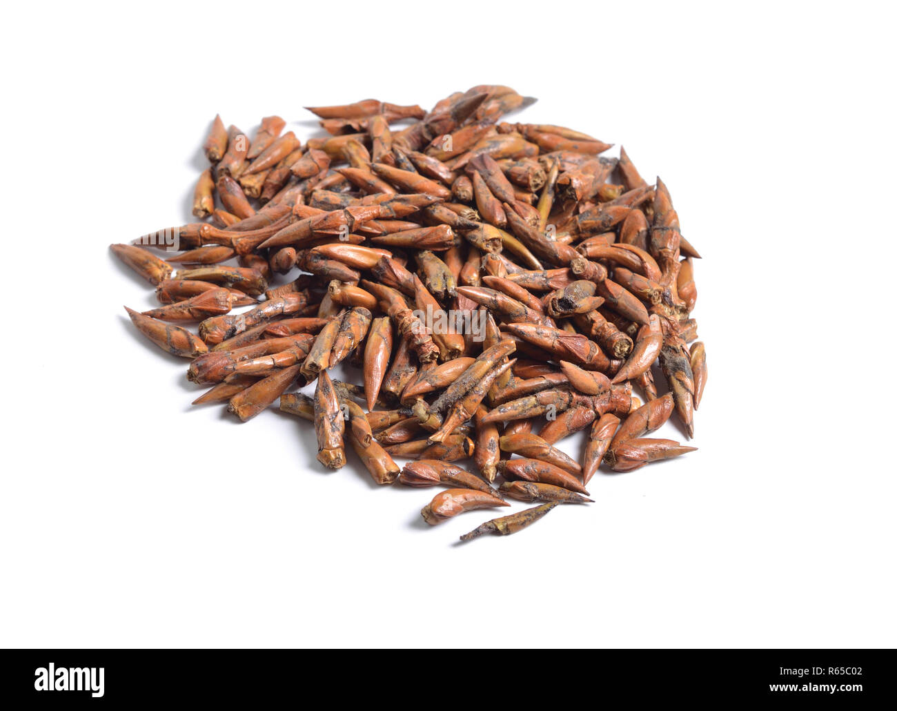 Dried medicinal herbs raw materials isolated on white. Buds of Populus ...