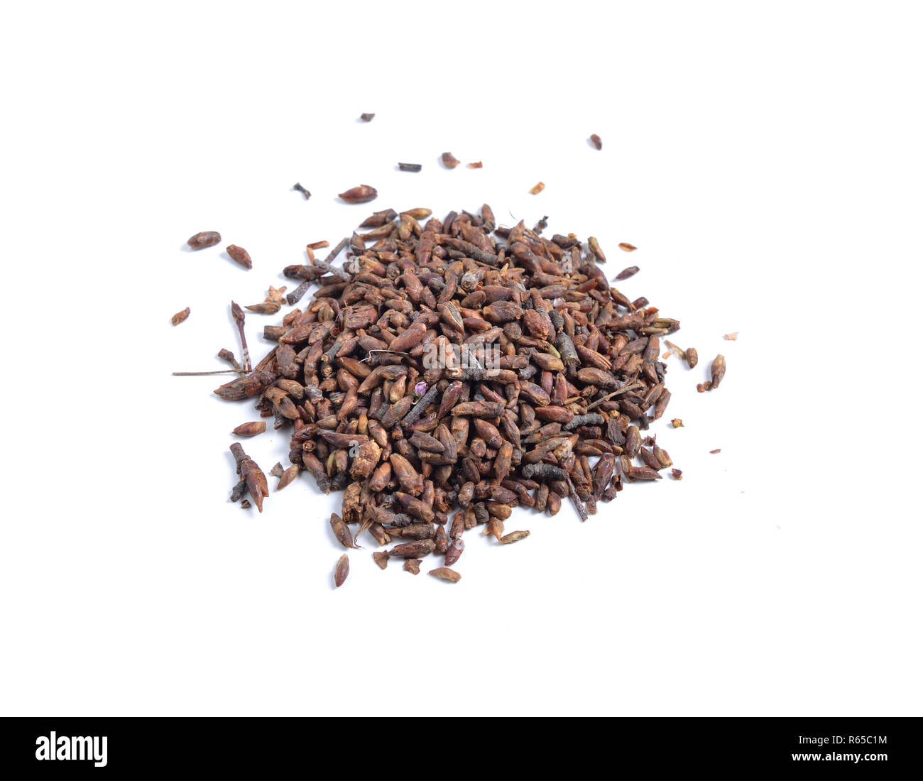 Dried medicinal herbs raw materials isolated on white. Buds of Birch or ...