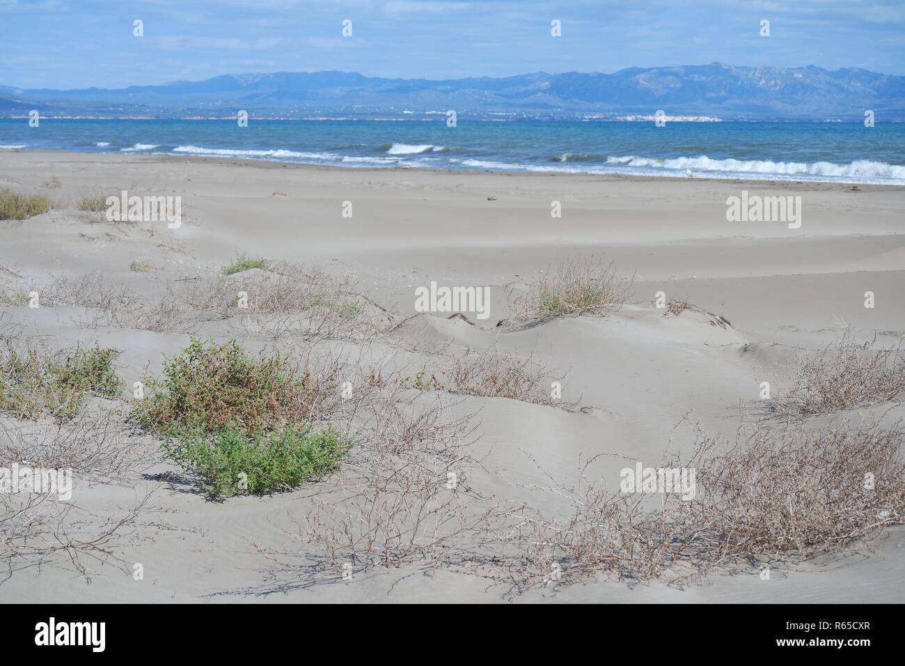 sand dunes in the nature park delta de l'ebre Stock Photo - Alamy